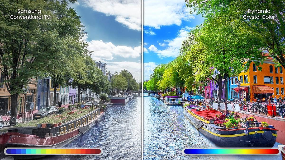 Display Panels - Samsung - Empowered Learning